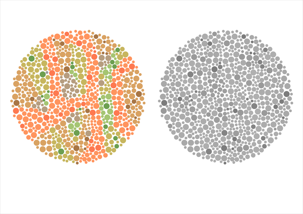 Vyzkoušejte svůj postřeh na hledání odlišných zvířat | VědaŽivě.cz