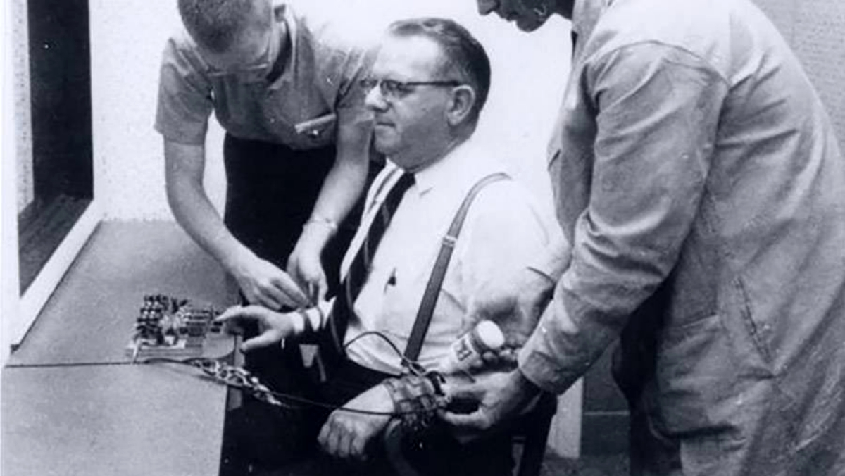 Čeho a koho všeho jsme schopni poslechnout? | VědaŽivě.cz