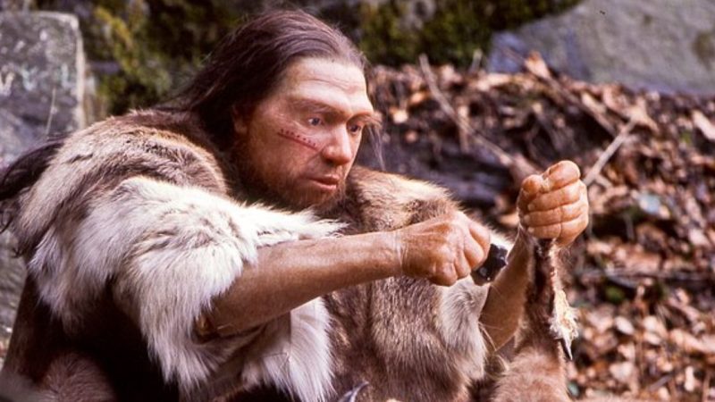 Naši starověcí předci byli promiskuitní, křížili se s jinými hominidy