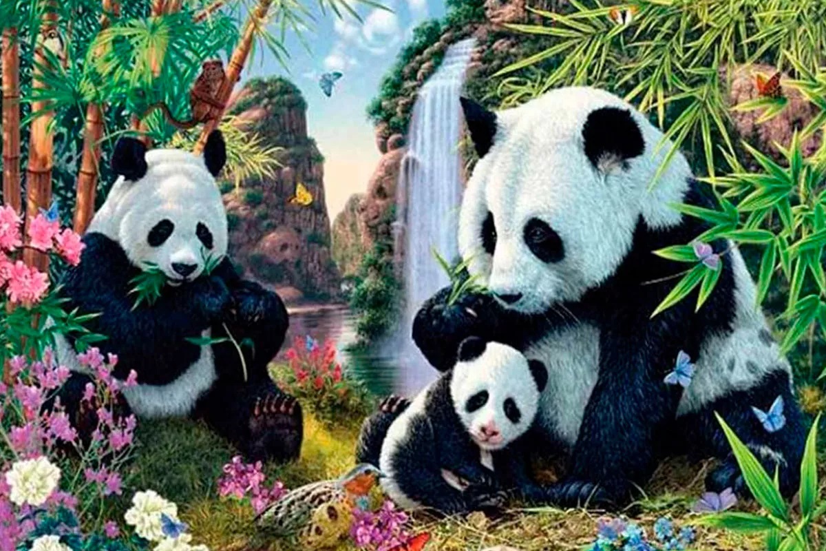 Kdo nenajde 12 pand za 30 sekund, má IQ nižší než 110